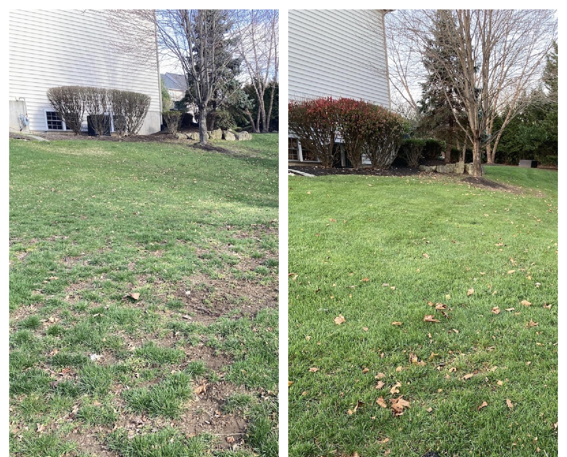 Tips & Tricks – Stout Lawn & Pest